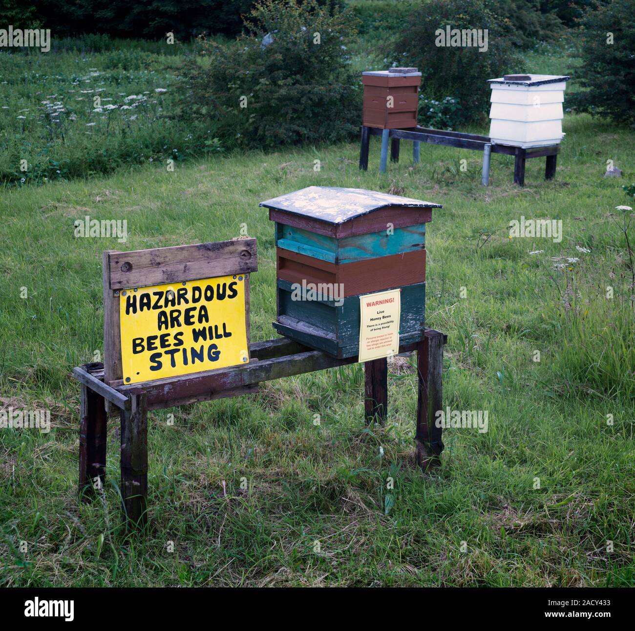 Bee hives with warning sign. Photographed in Deeside, Flintshire, Wales ...