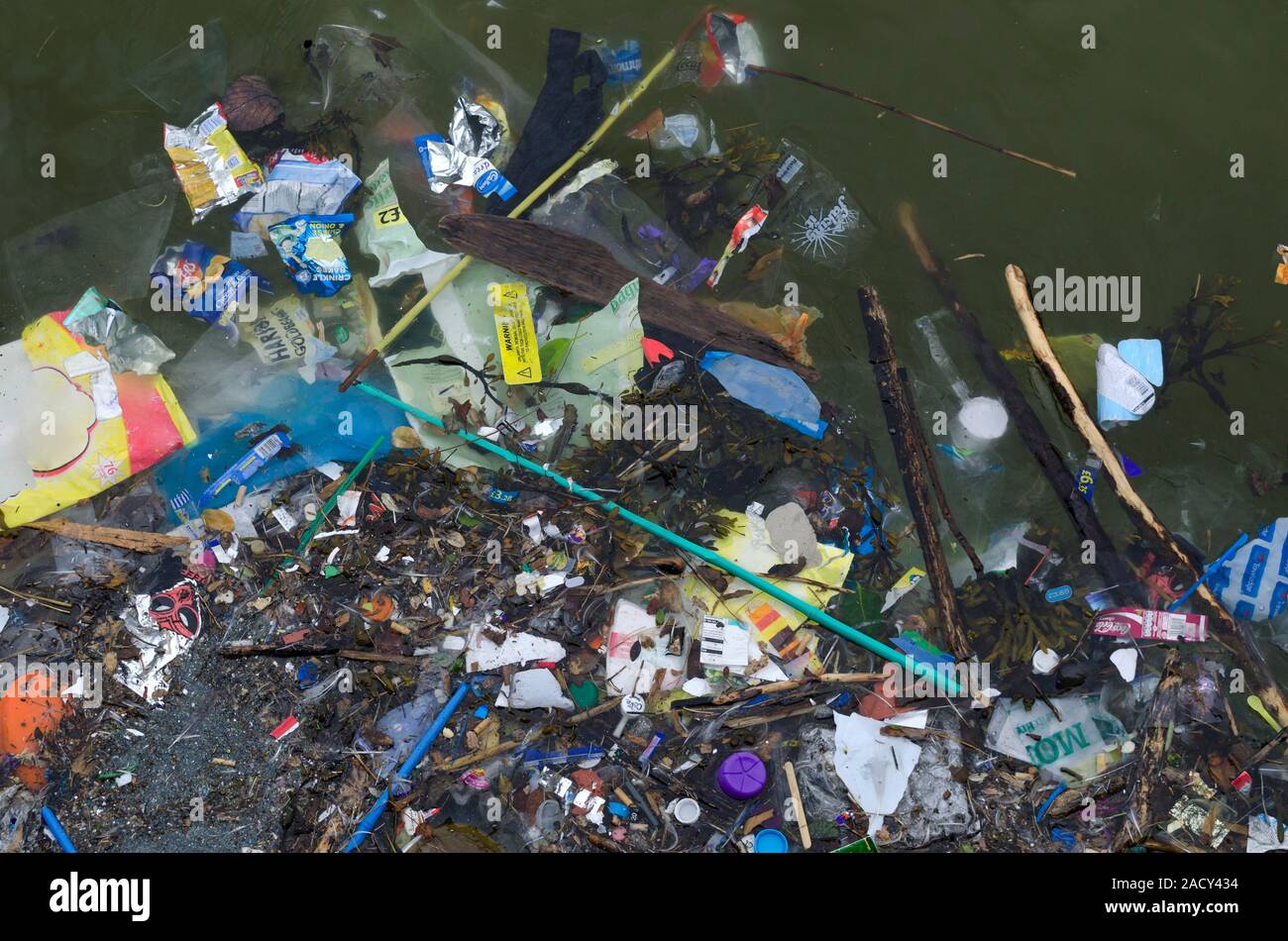 Plastic packaging and other detritus floating in seawater. Photographed ...