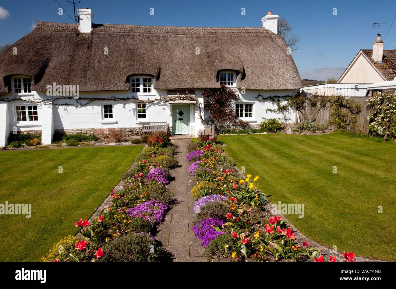 Cottage and garden. View across the manicured front garden of a cottage ...