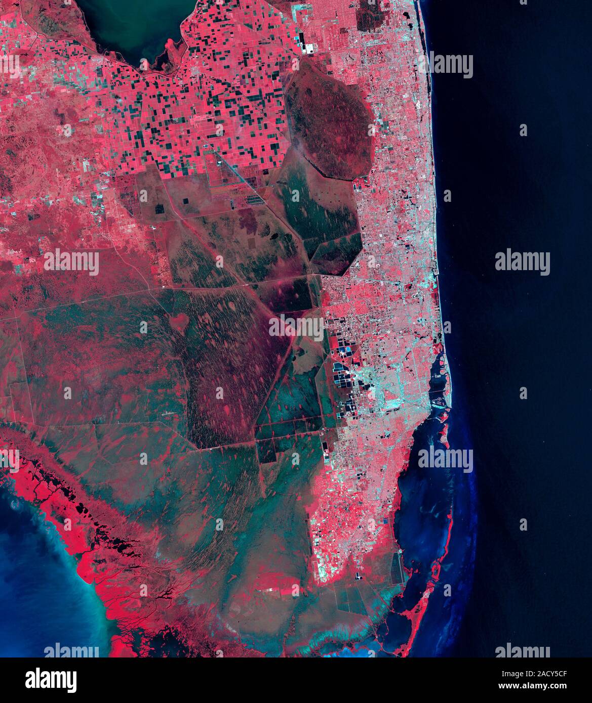 Florida. Infrared satellite image of part of the peninsula of Florida ...