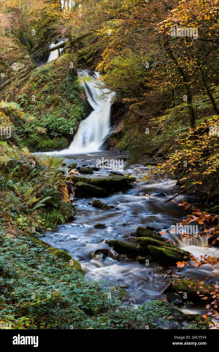 Peiran Waterfall in the Hafod Estate West Wales, taken in Autumn time ...