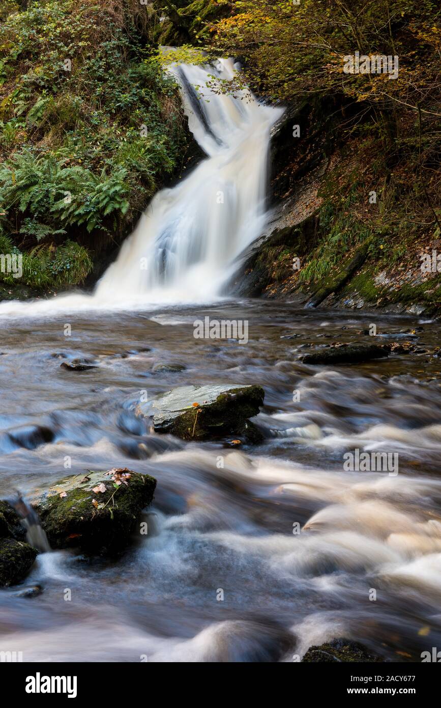 Hafod estate hi-res stock photography and images - Alamy