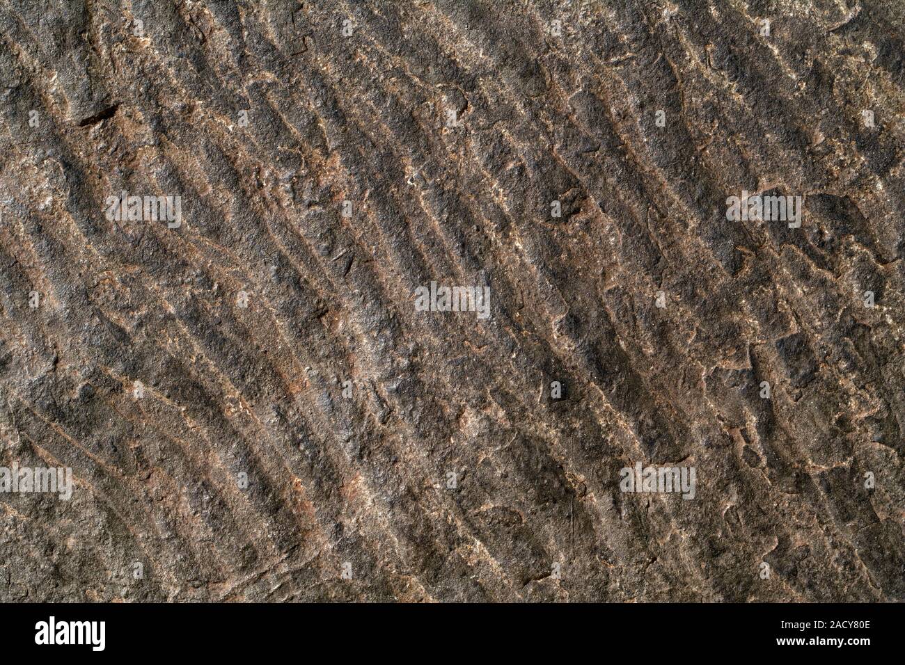Fossil ripple marks Stock Photo - Alamy