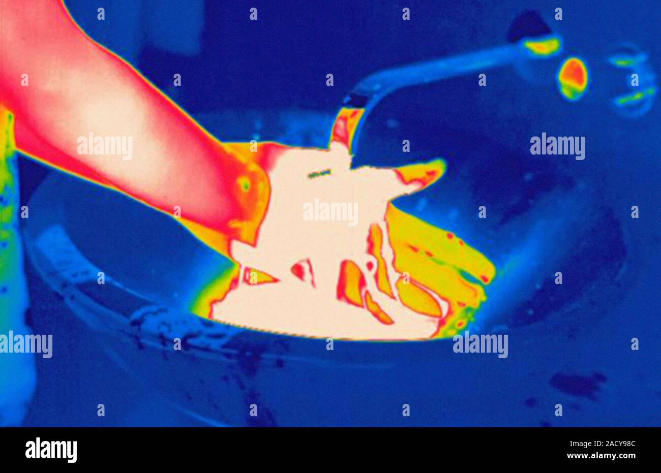 Thermogram of a person washing hands with hot water. The temperature ...