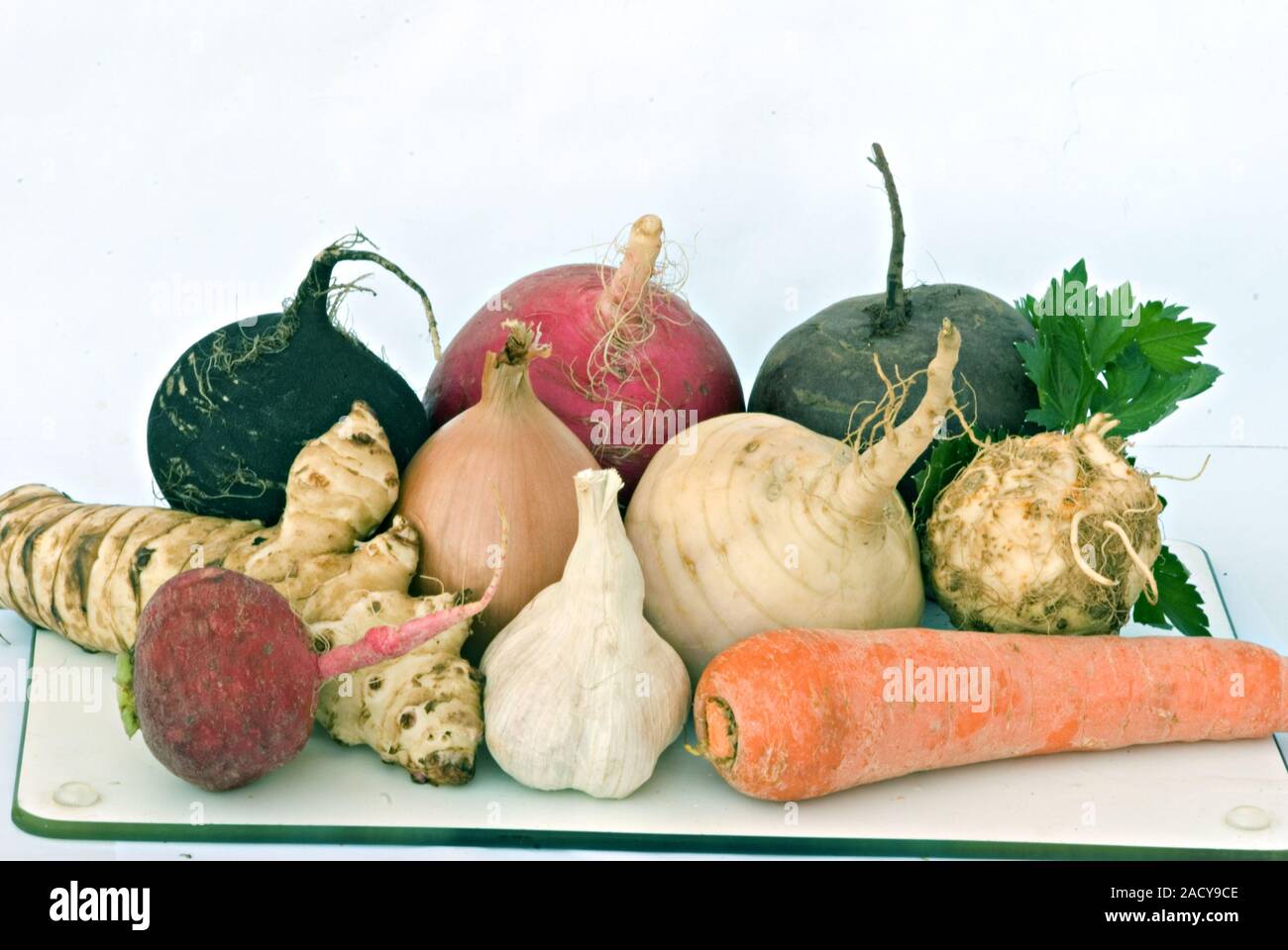 Different root vegitables Stock Photo - Alamy
