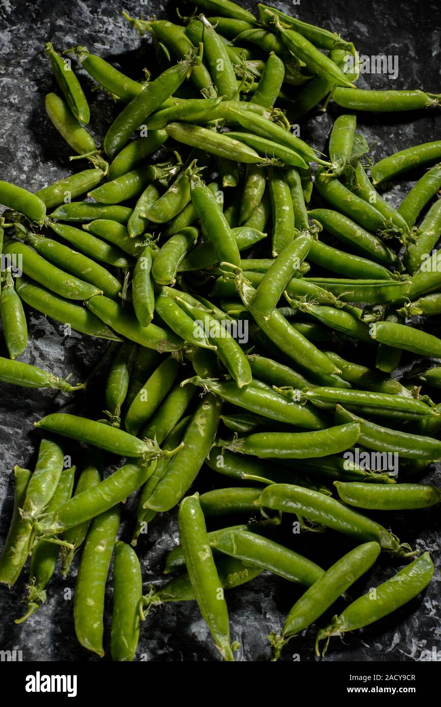 Green pea in a tin, pea pods, scattered pea, branches of pea on black ...