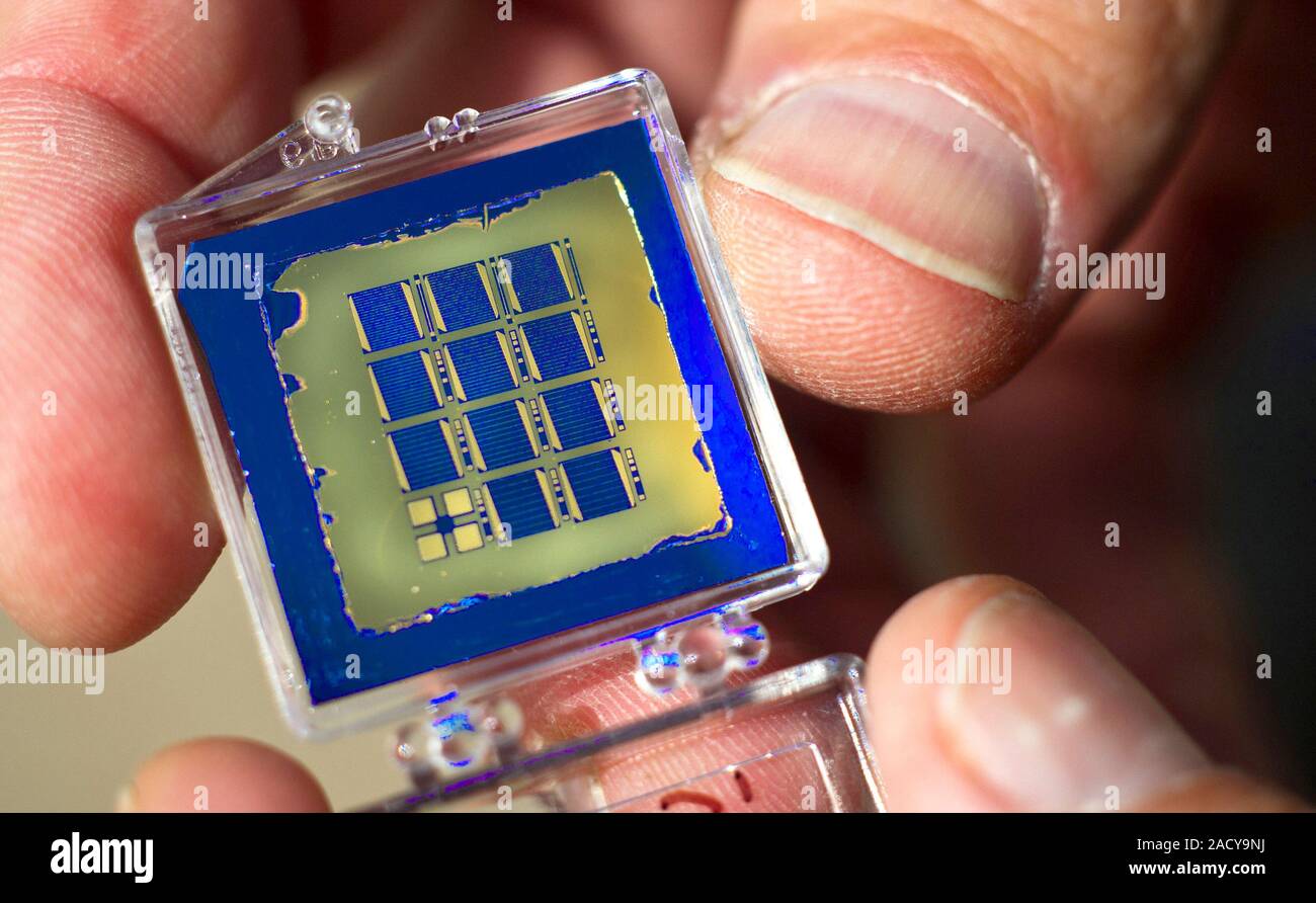 Miniature solar cell. Scientist holding a wafer that contains 11 ...