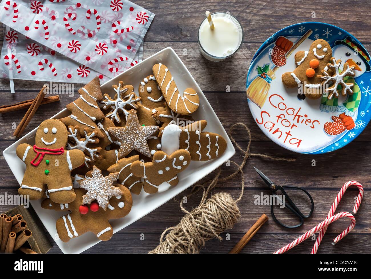 A top down view of a plate full of gingerbread cookies with various ...
