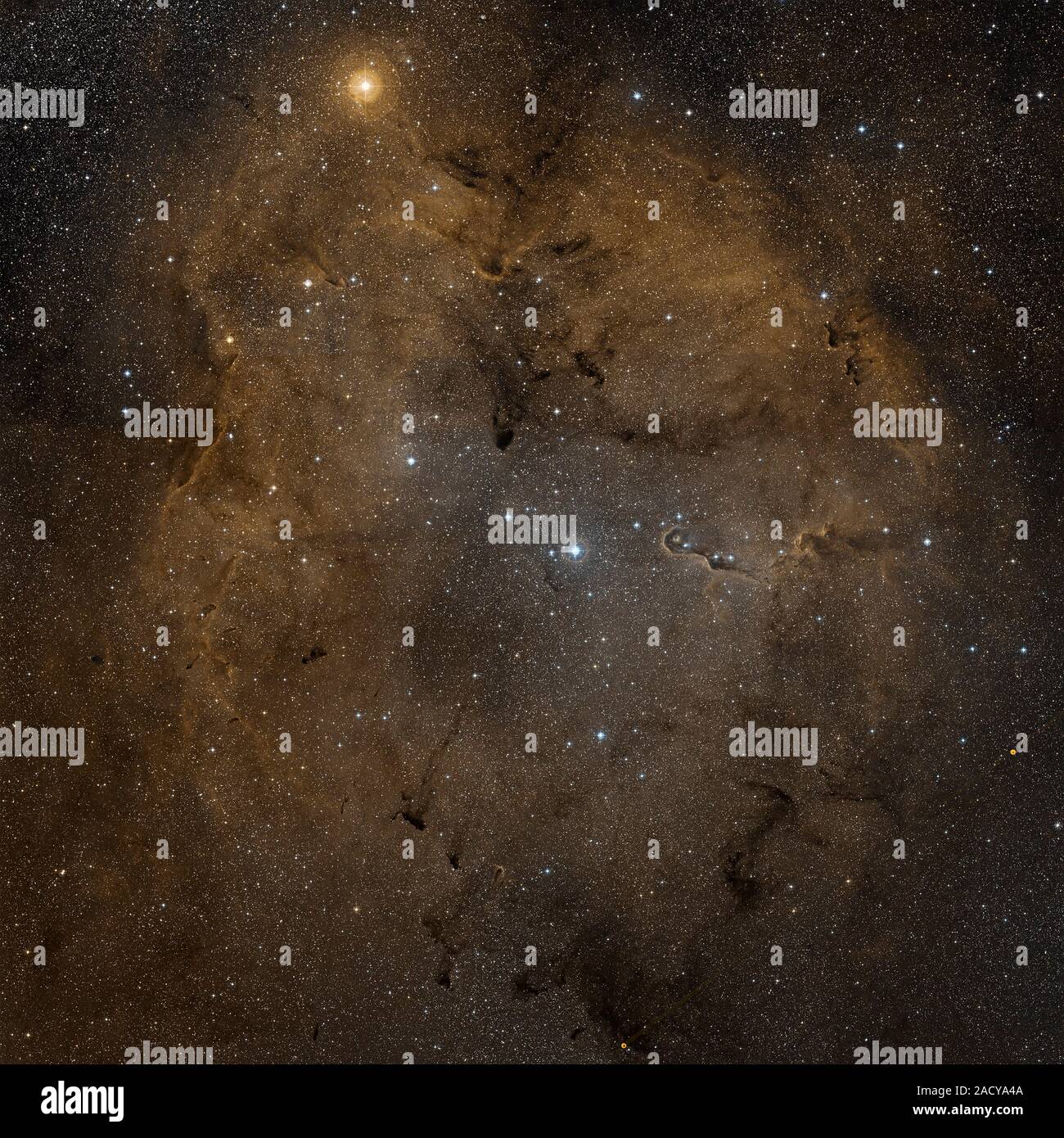 Emission nebula IC 1396. Optical image of the glowing cosmic gas and ...