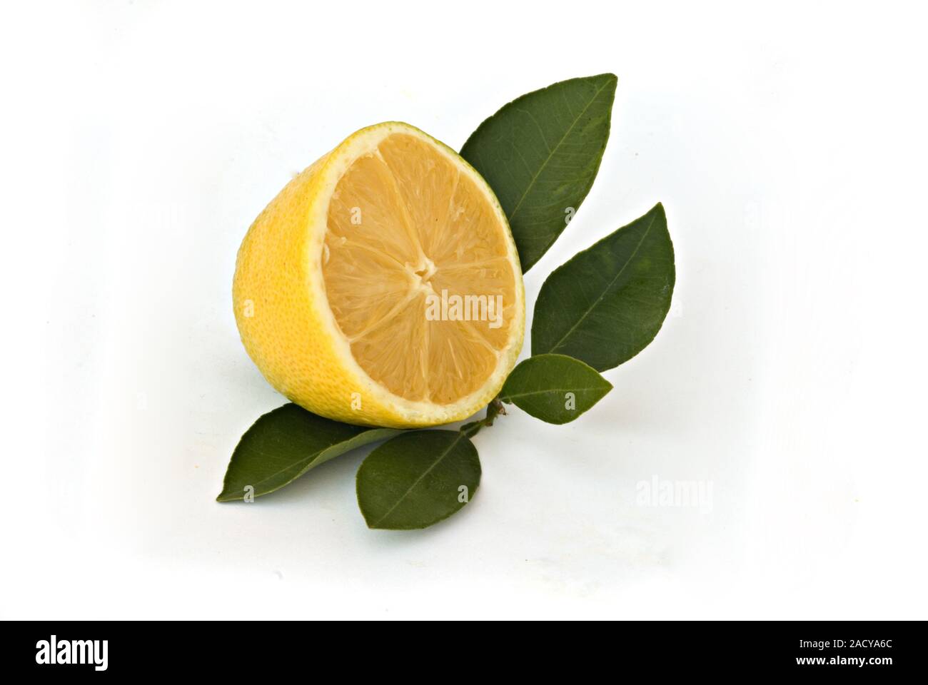 Section of lemon isolated on white background Stock Photo - Alamy