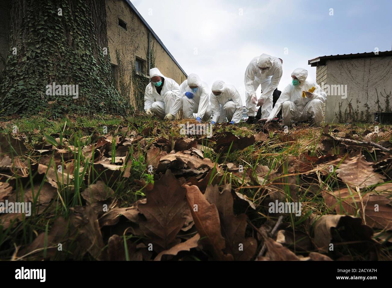 Policeman undergoing forensic training. They are conducting a fingertip ...