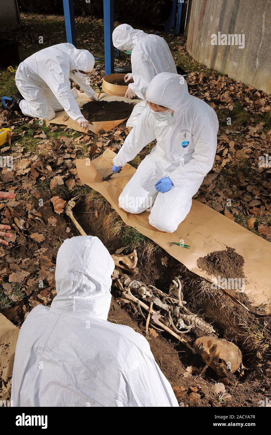 Policeman undergoing forensic training. They are uncovering a buried ...