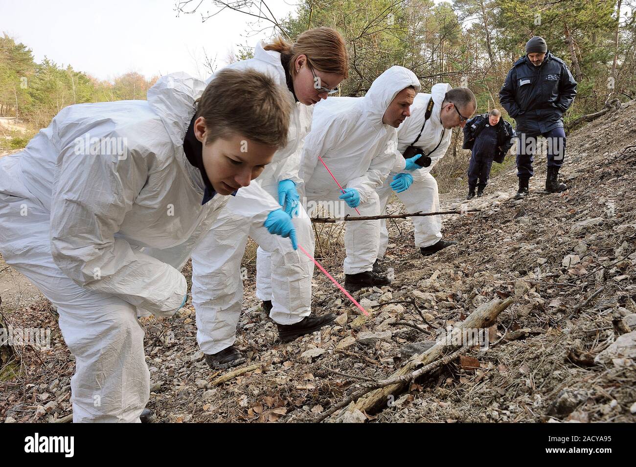 Policeman undergoing forensic training. They are conducting a search of ...