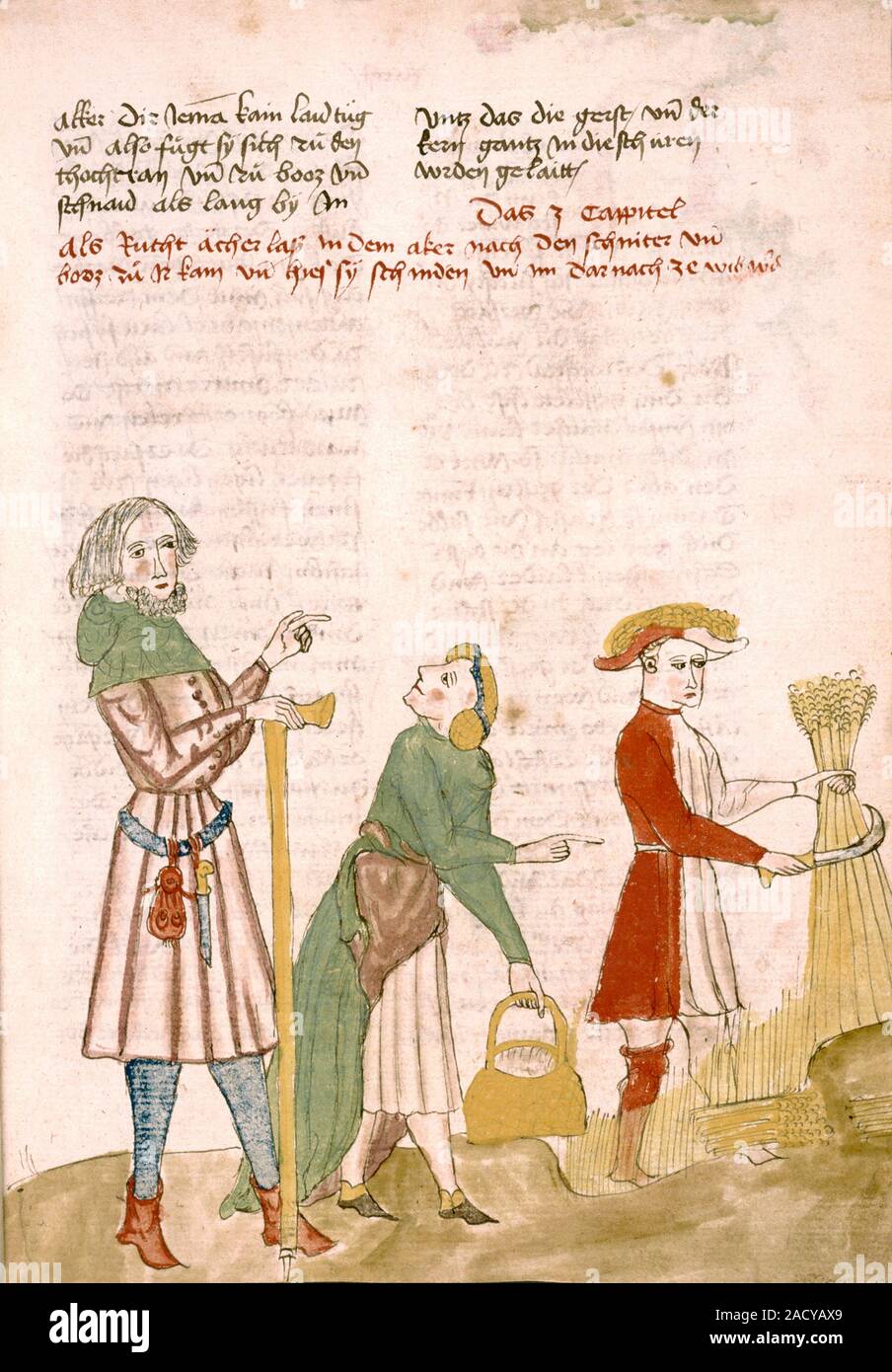 Medieval farm workers. Medieval manuscript with an image depicting ...
