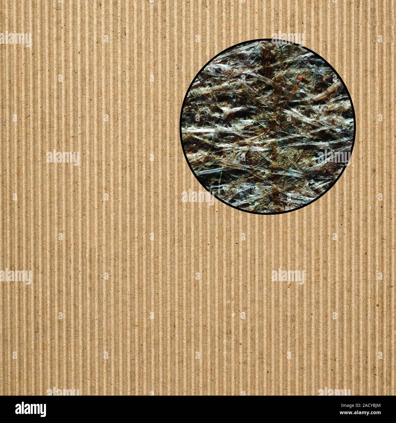 Recycled cardboard with detailed area seen with microscope Stock Photo ...