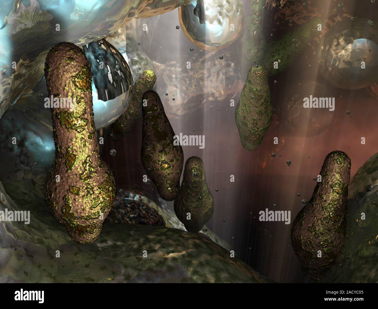 Clostridium sp. bacteria, computer artwork Stock Photo - Alamy