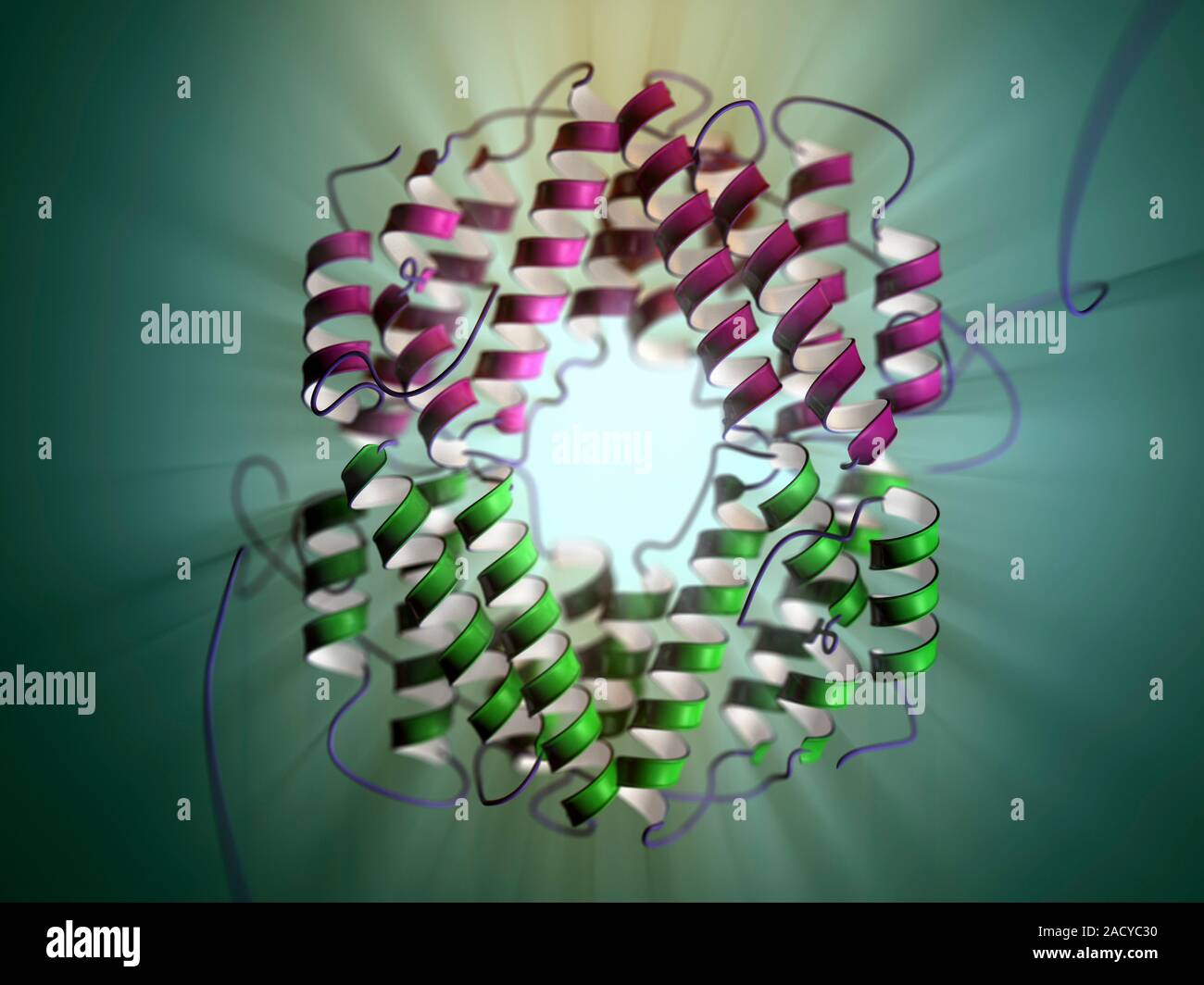 Interferon gamma, computer artwork Stock Photo - Alamy