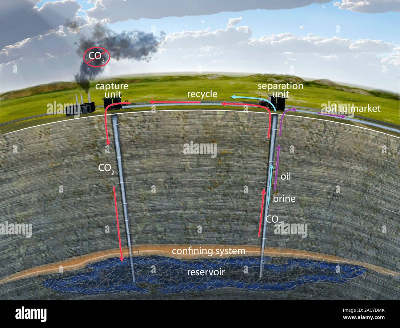 Carbon sequestration. Computer illustration showing the process of ...