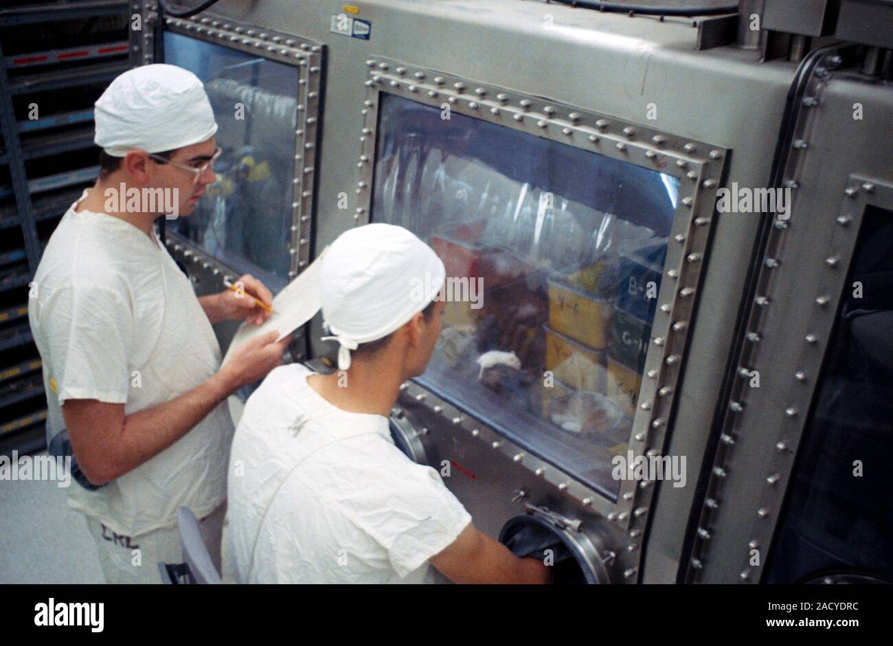 Lunar material testing. NASA scientists examining mice that have been ...