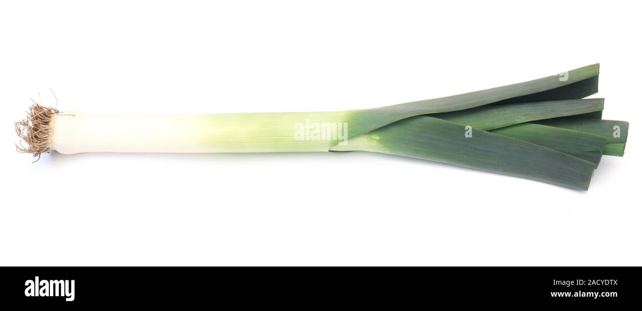 Whole Leek Isolated On White Stock Photo - Alamy