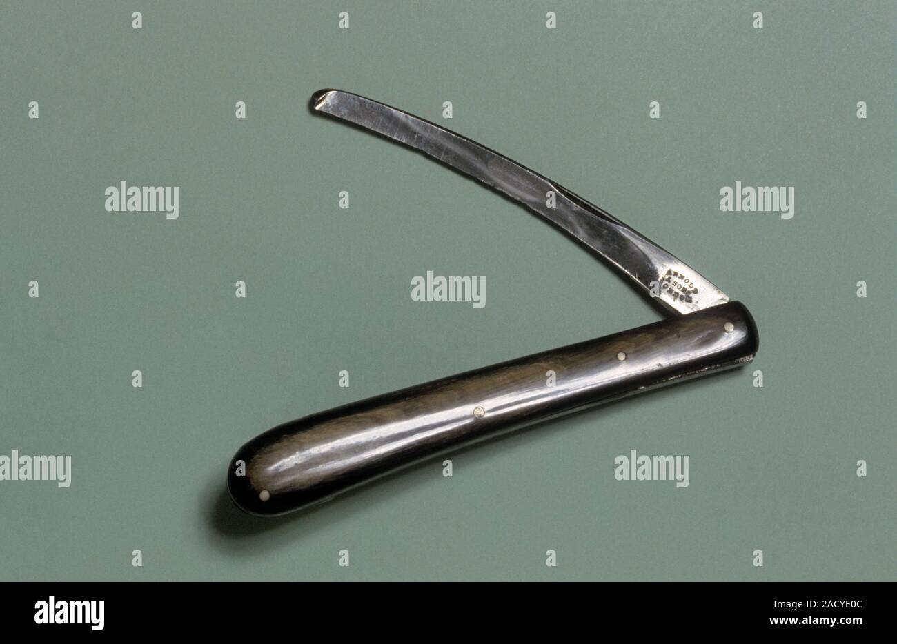 Horn handled veterinary bistoury. This long, narrow surgical knife ...