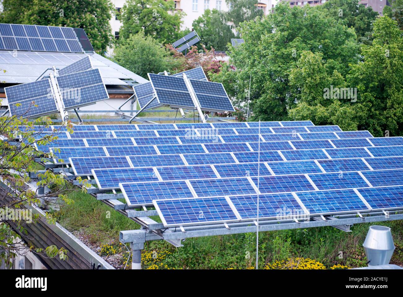 Solar panels on green roof. This experimental roof was one of the first ...