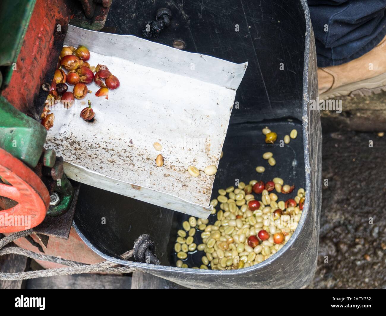Coffee processing machine hi-res stock photography and images - Alamy