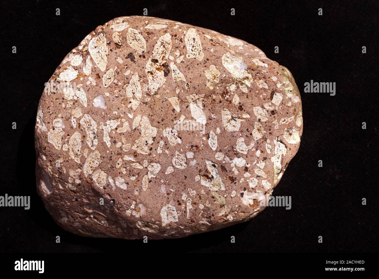 Pebble of andesite, an extrusive volcanic (igneous) rock with a typical ...