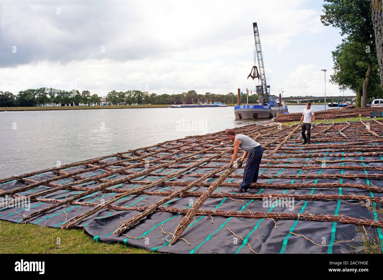 A fascine mat is here prepared to be subsequently sunk to the bottom of ...