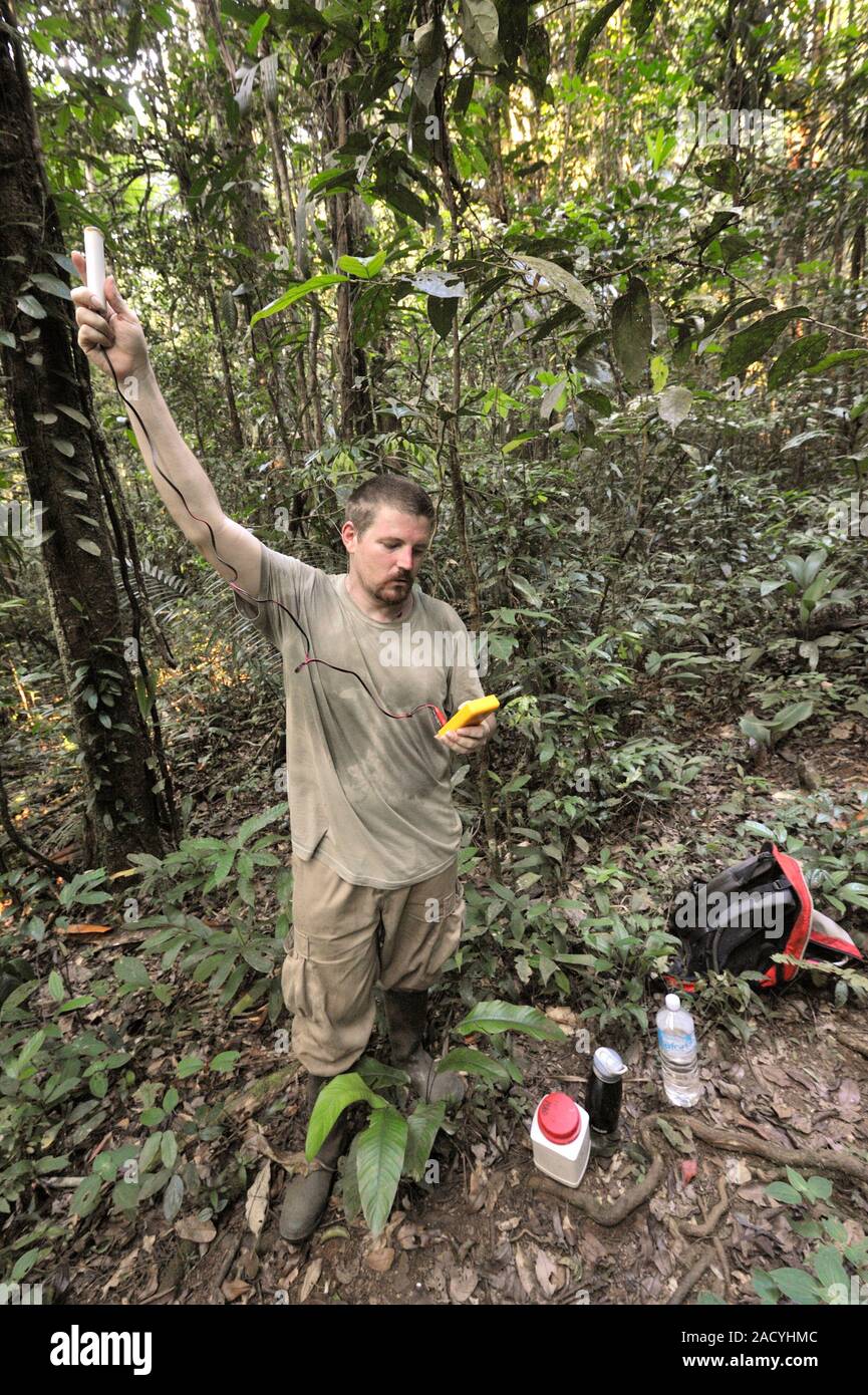 Rainforest research. Scientist measuring the intensity of light ...