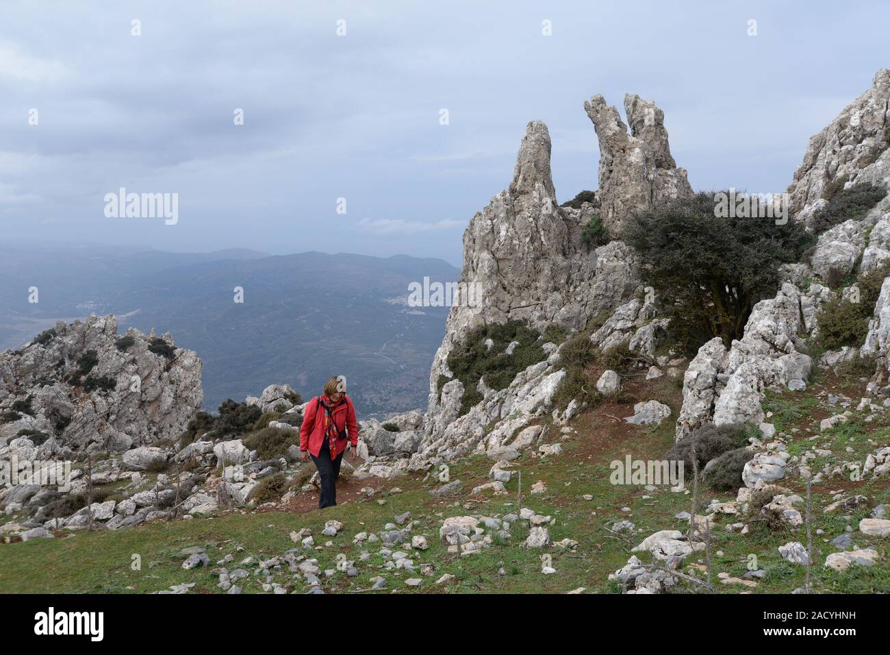 Karfi hi-res stock photography and images - Alamy