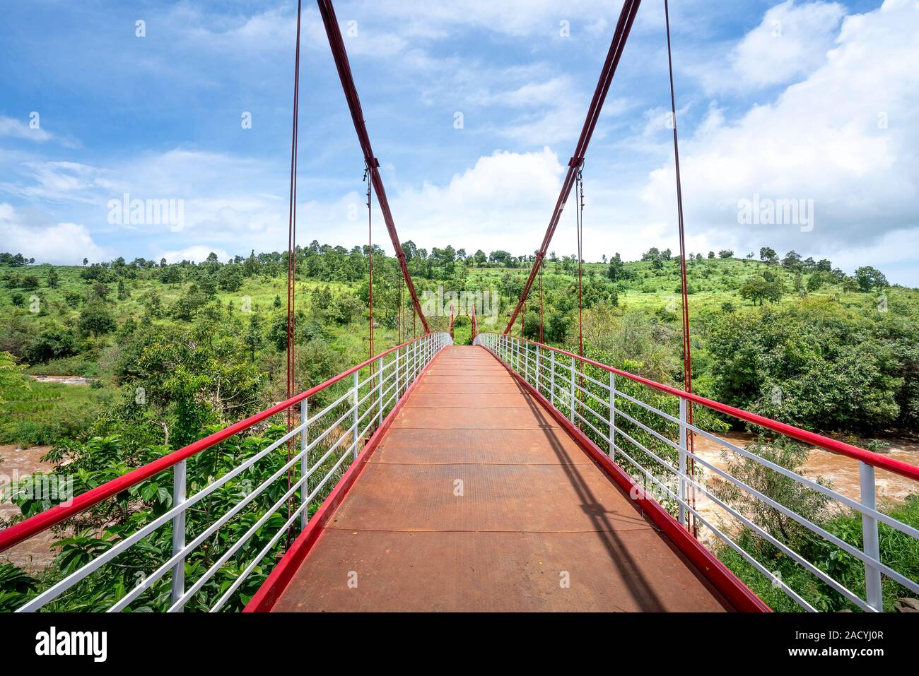 suspension bridge in the rainforest Stock Photo - Alamy