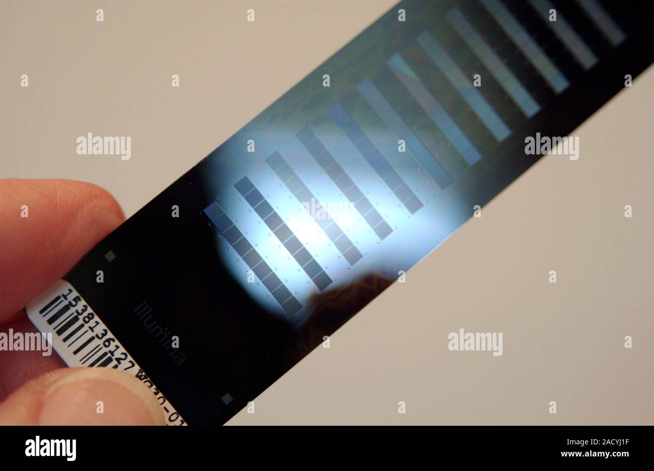 Genotyping chip. Close-up of a genotyping chip. Genotyping is the ...