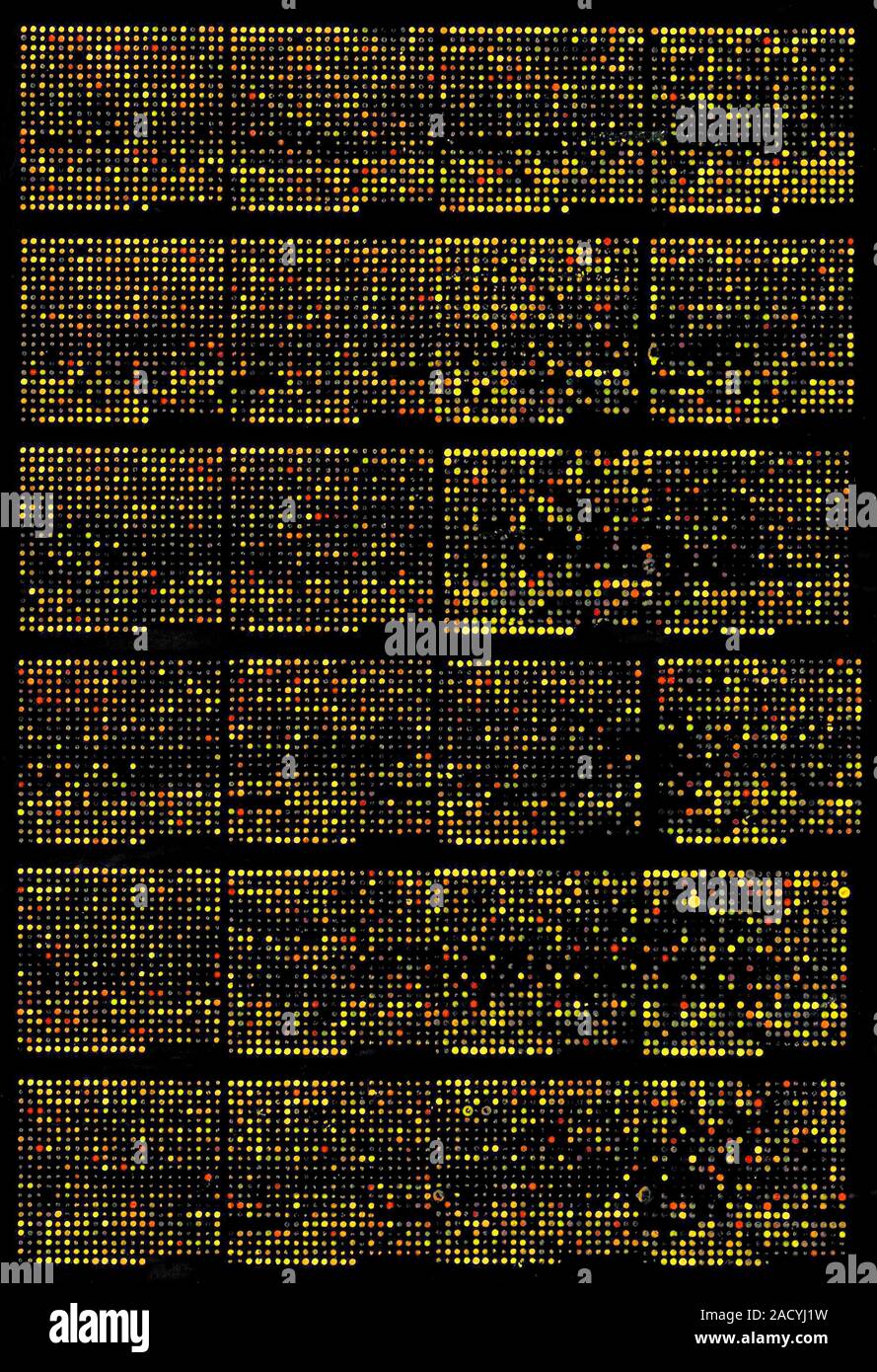 DNA microarrays. DNA (deoxyribonucleic acid) microarray technology ...