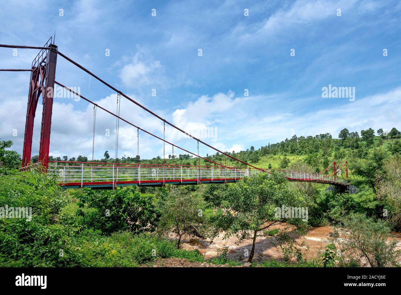 suspension bridge in the rainforest Stock Photo - Alamy