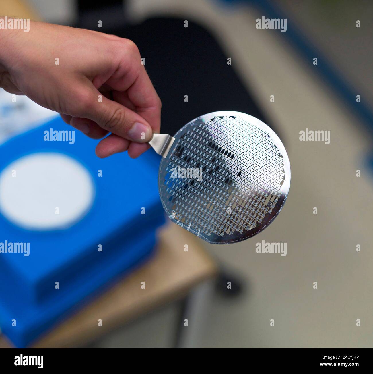 NanoFrazor lithography, SwissLitho. Silicon wafer containing dozens of ...