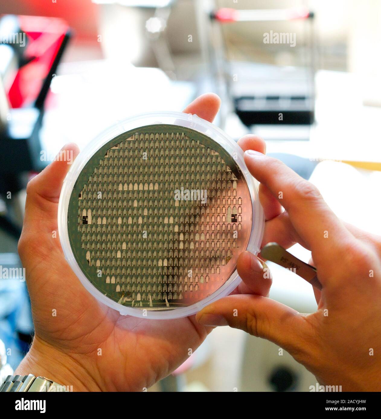 NanoFrazor lithography, SwissLitho. Silicon wafer containing dozens of ...