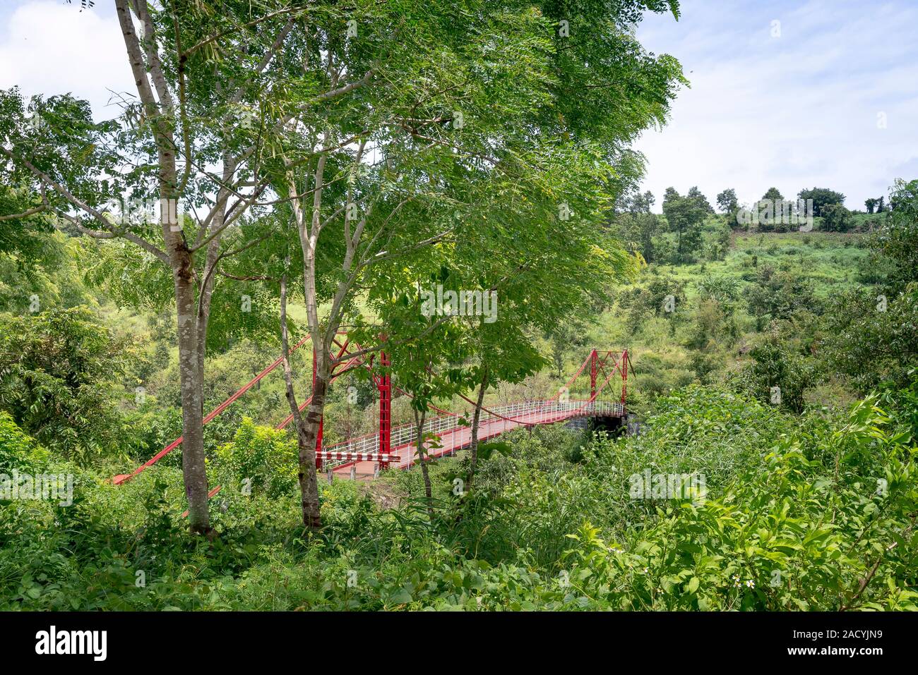 suspension bridge in the rainforest Stock Photo - Alamy