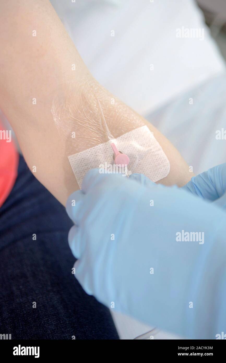 Taking blood. Close-up of a nurse using a cannula to take a blood ...