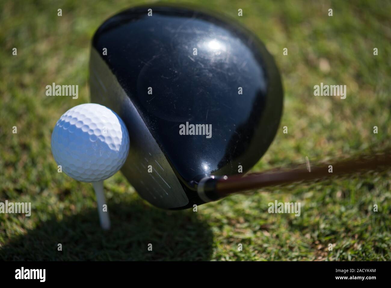 top view of golf club and ball in grass Stock Photo - Alamy