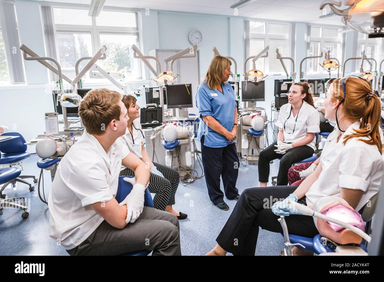 Dentistry training. Dentistry students during training Stock Photo - Alamy