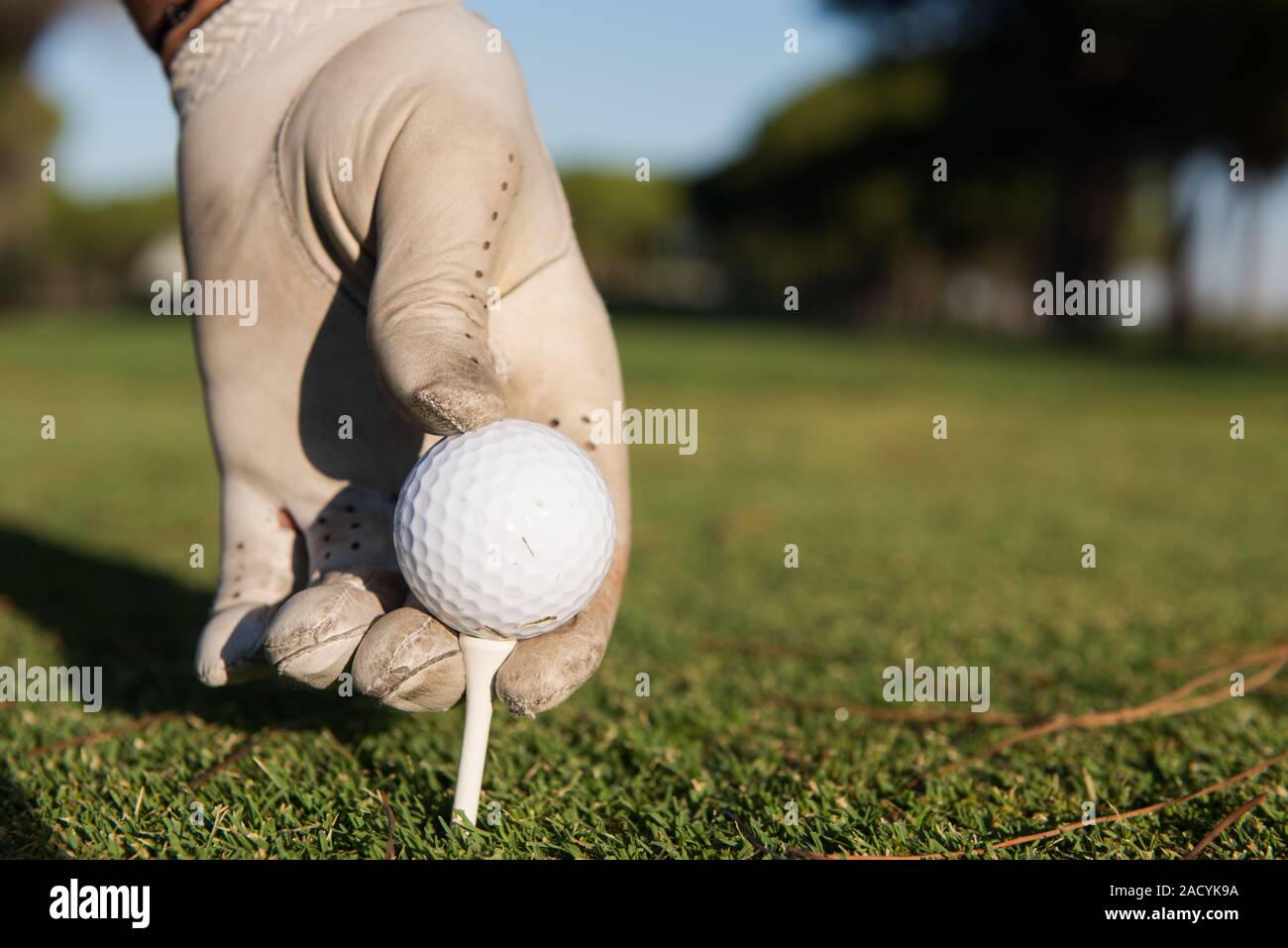 Closeup golf players hand hi-res stock photography and images - Alamy
