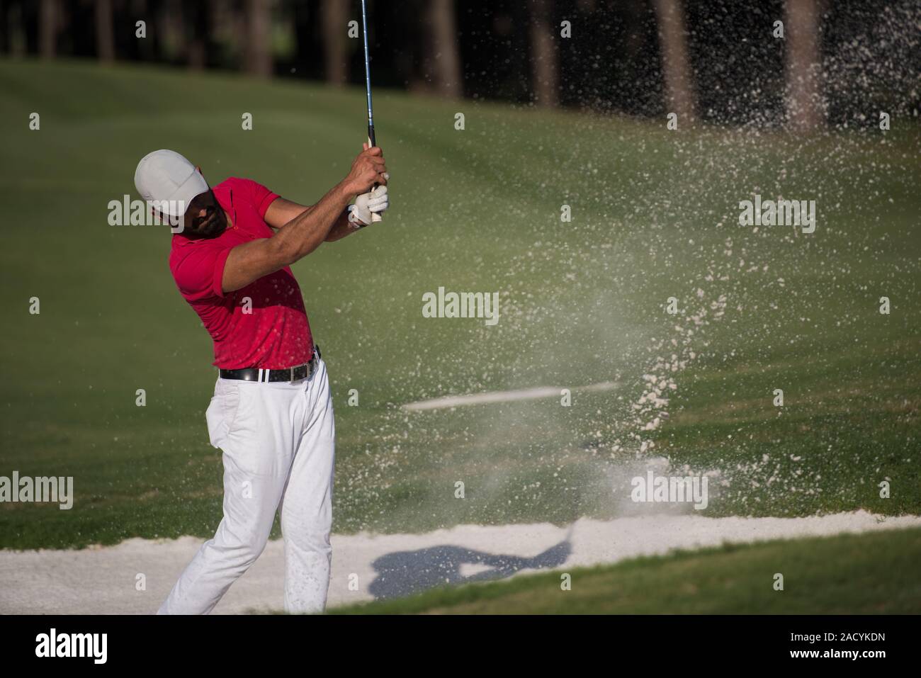 golfer hitting a sand bunker shot Stock Photo - Alamy