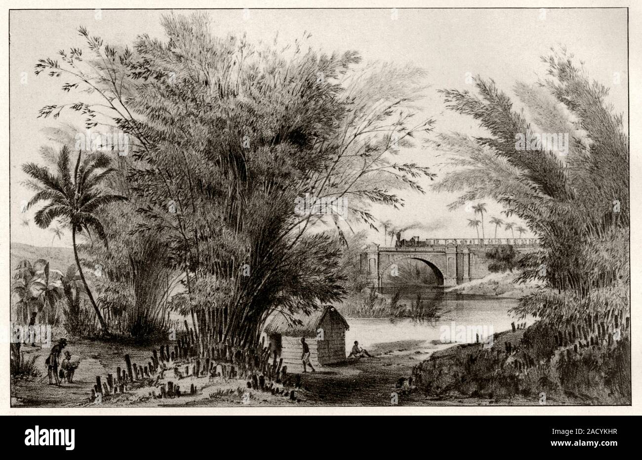 First railway in Cuba. Historical illustration of a railway crossing ...