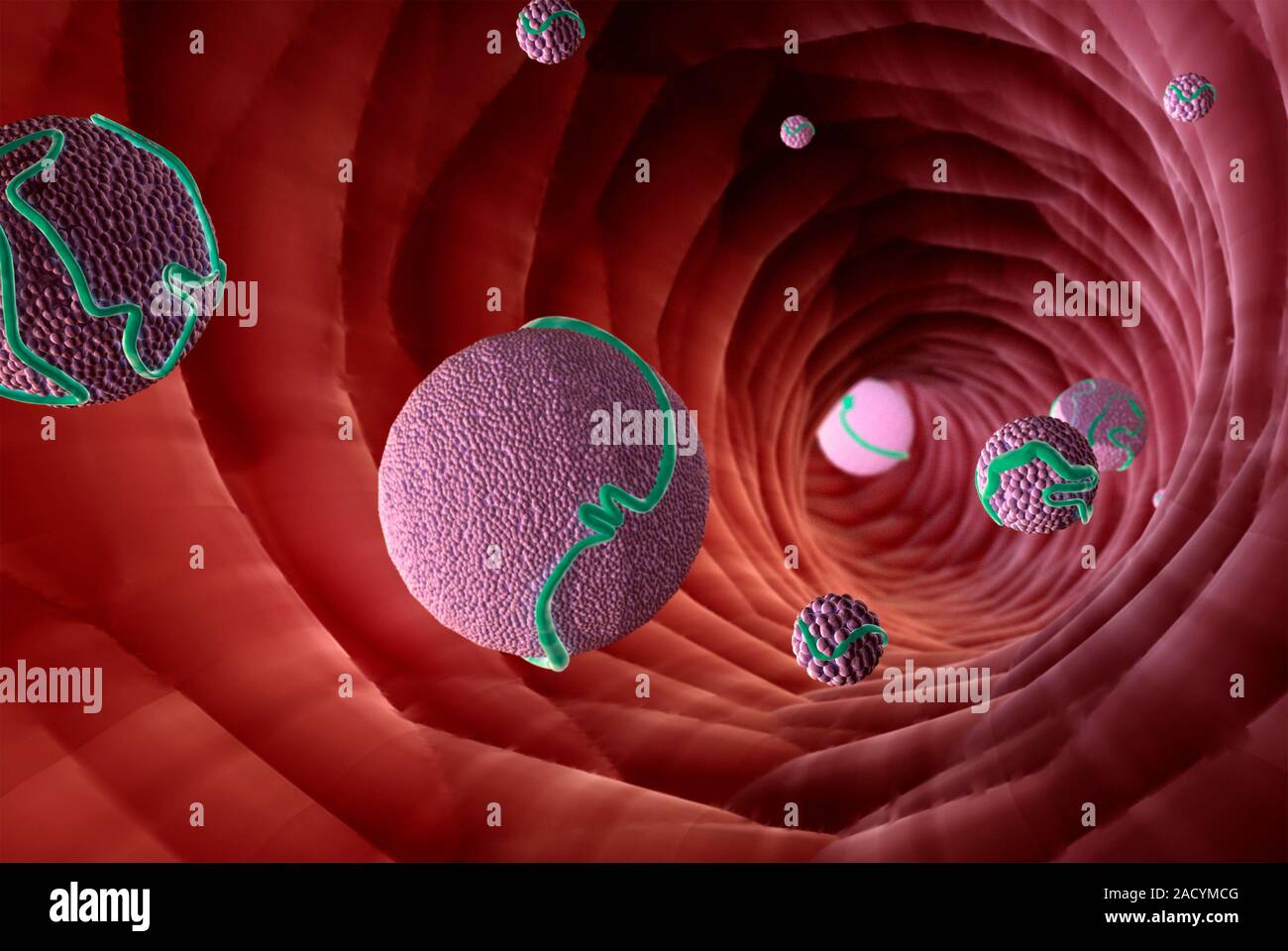 Lipoproteins in bloodstream. Computer illustration of lipoprotein ...