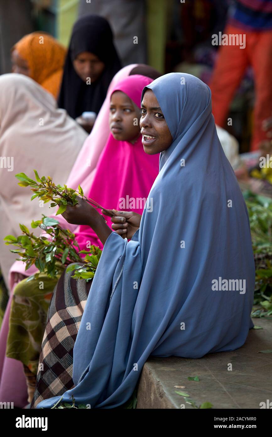 Muslim women selling Khat in the Awoday market in Harar, Ethiopia ...