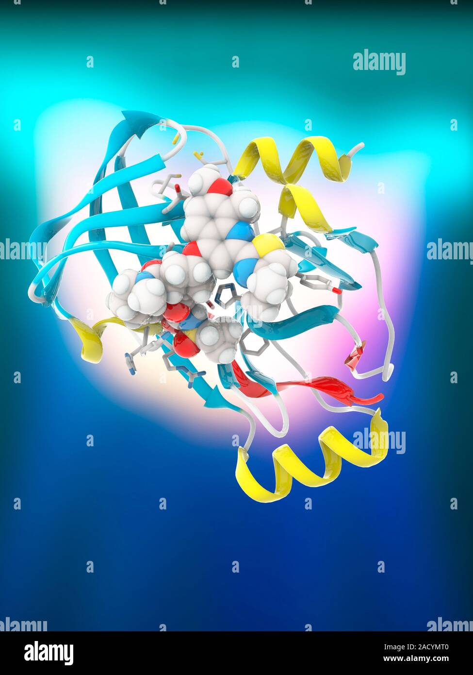 Molecular model of the hepatitis C (HCV) drug simeprevir bound to its ...