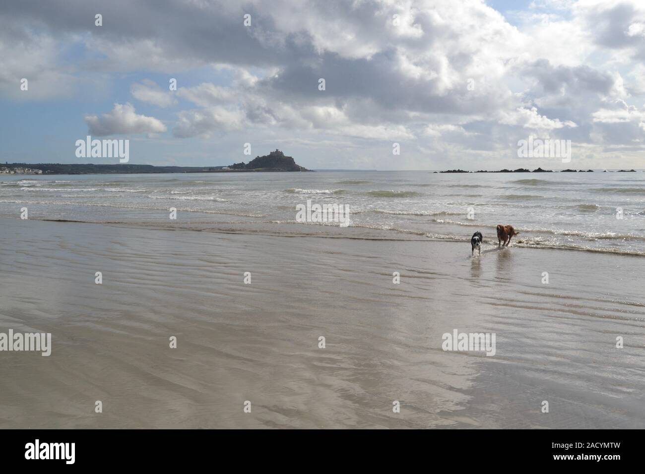 Are Dogs Allowed On St Michaels Mount Beach at Wallace Swindler blog