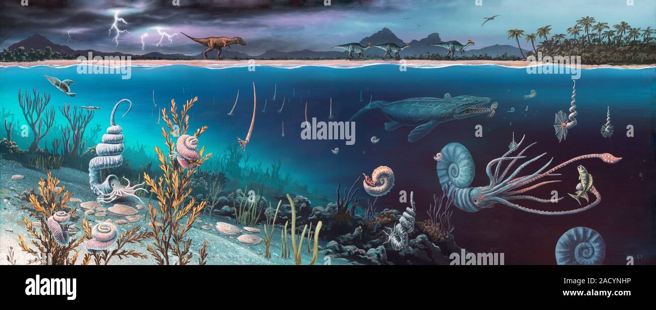 A scene during the Late Cretaceous (Maastrichtian). It shows mainly ...