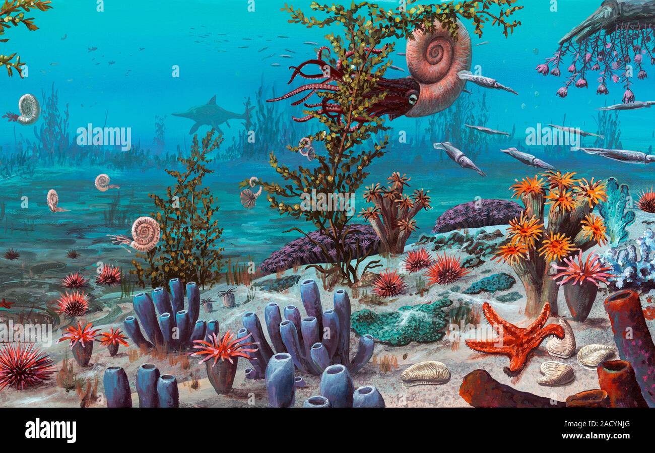 Jurassic underwater scene, illustration. In the background an ...